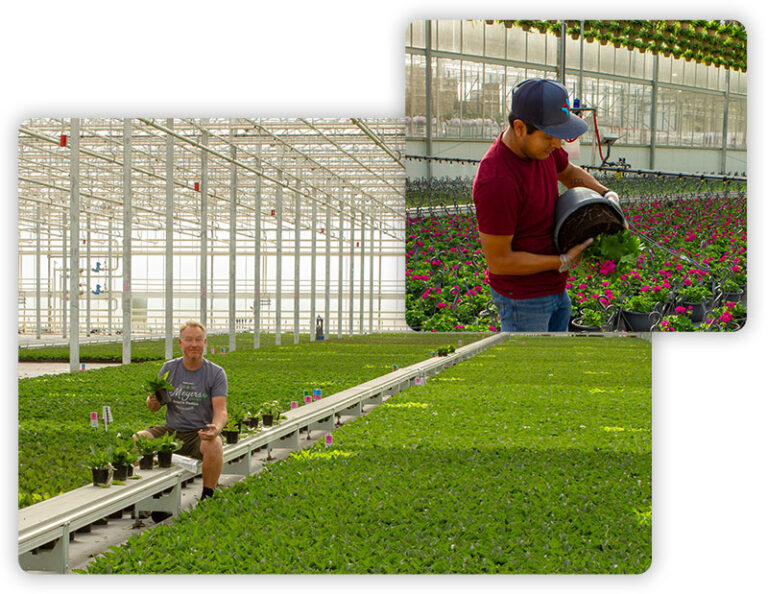 Careers | Meyers Farms